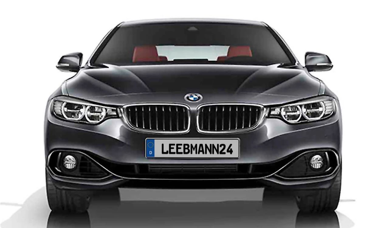 BMW Ziergitter - LEEBMANN24